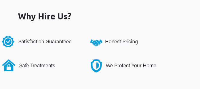Pest Control Owensboro Ky 🥇 Oct 2025